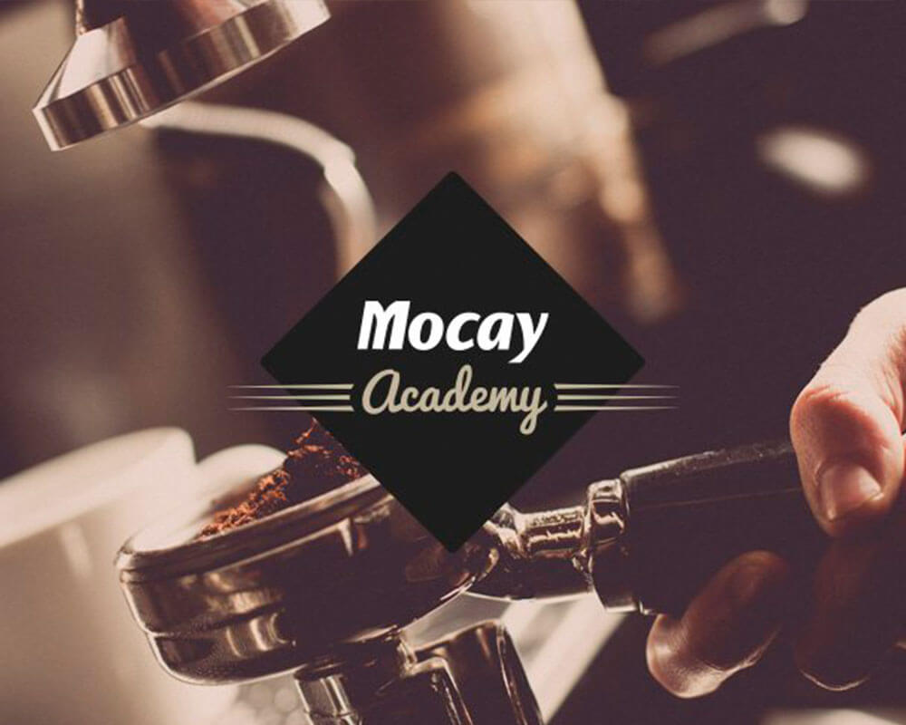Cursos para Baristas Gratis | Mocay Academy • Pascual Profesional